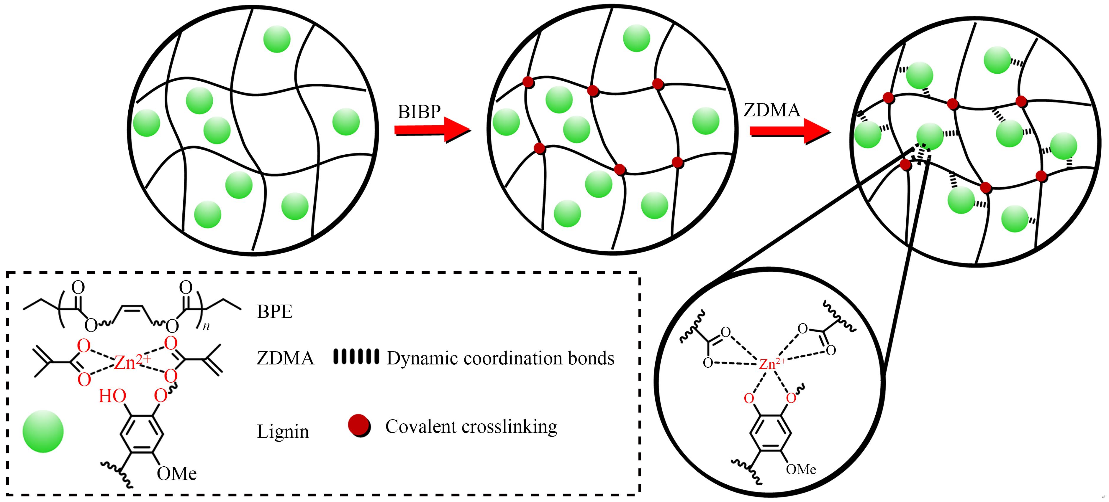 Acta Polymerica Sinica